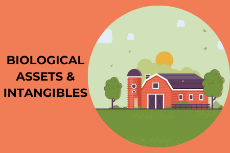 Biological Assets & Intangibles – MM&Co – LCRC